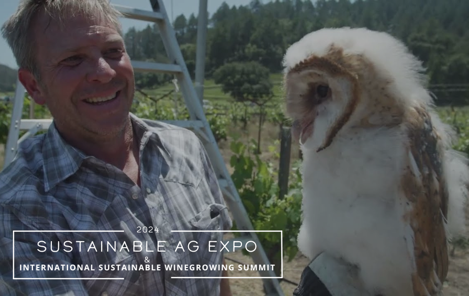 Speaker Highlight: Dr. Matthew Johnson, Cal Poly Humboldt | Sustainable ...